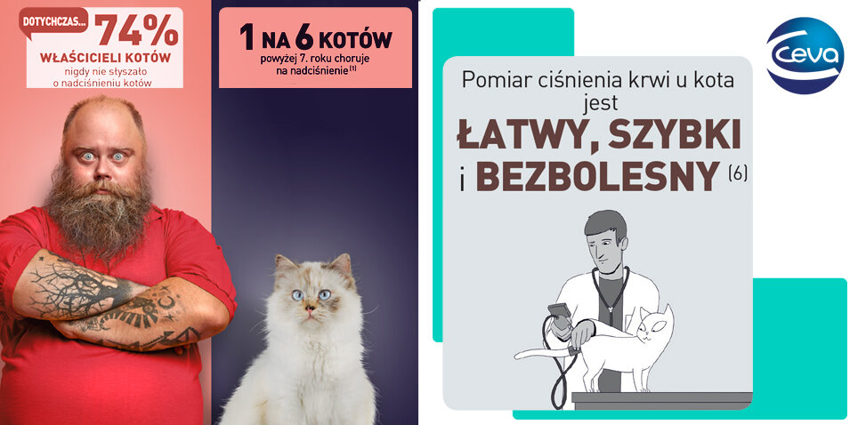 Ranking karm dla kotów — 10 najlepszych karm w 2024 - Zoocial.pl